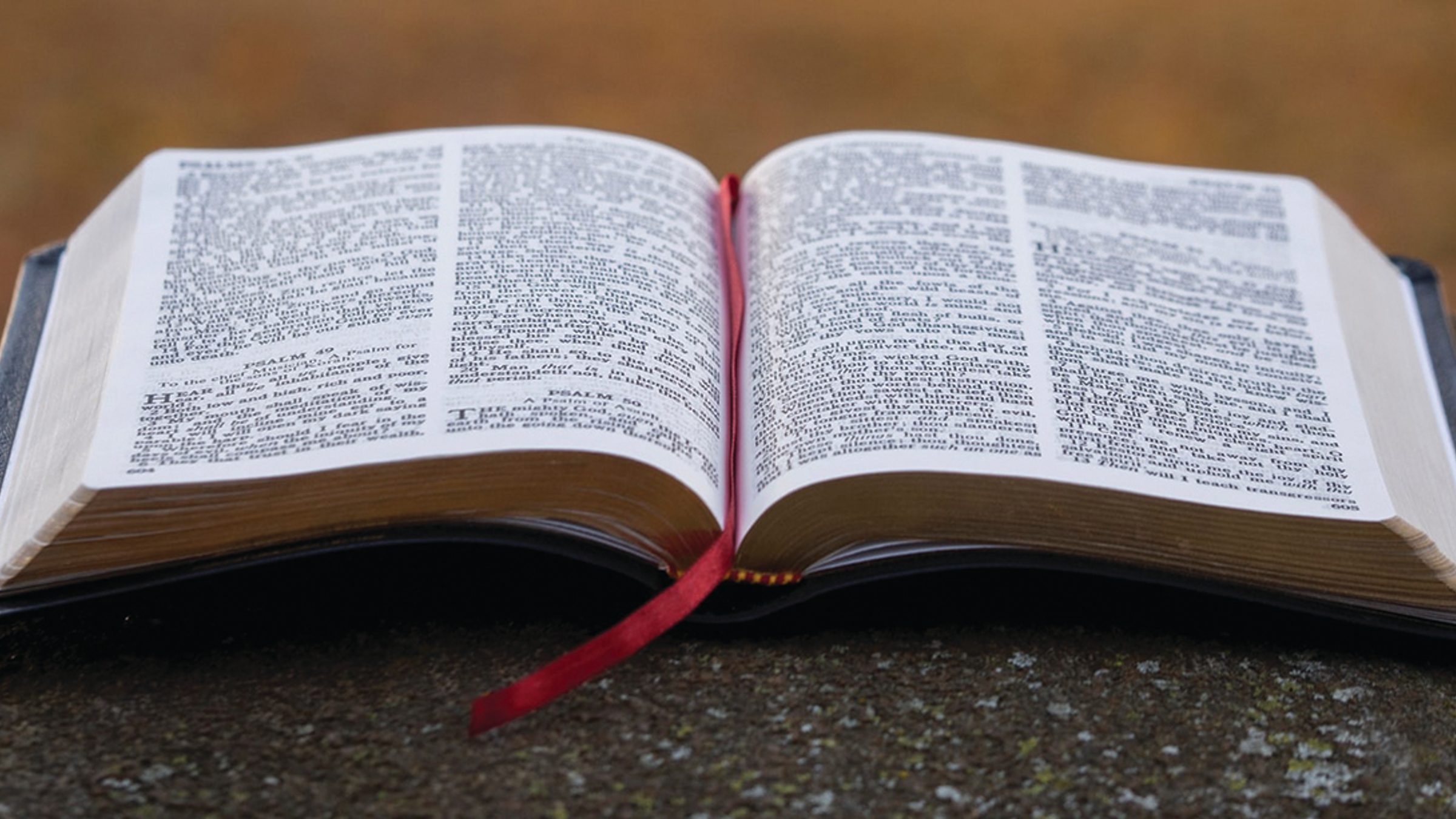 Scripture Reflection for Easter Sunday- Catholic Standard