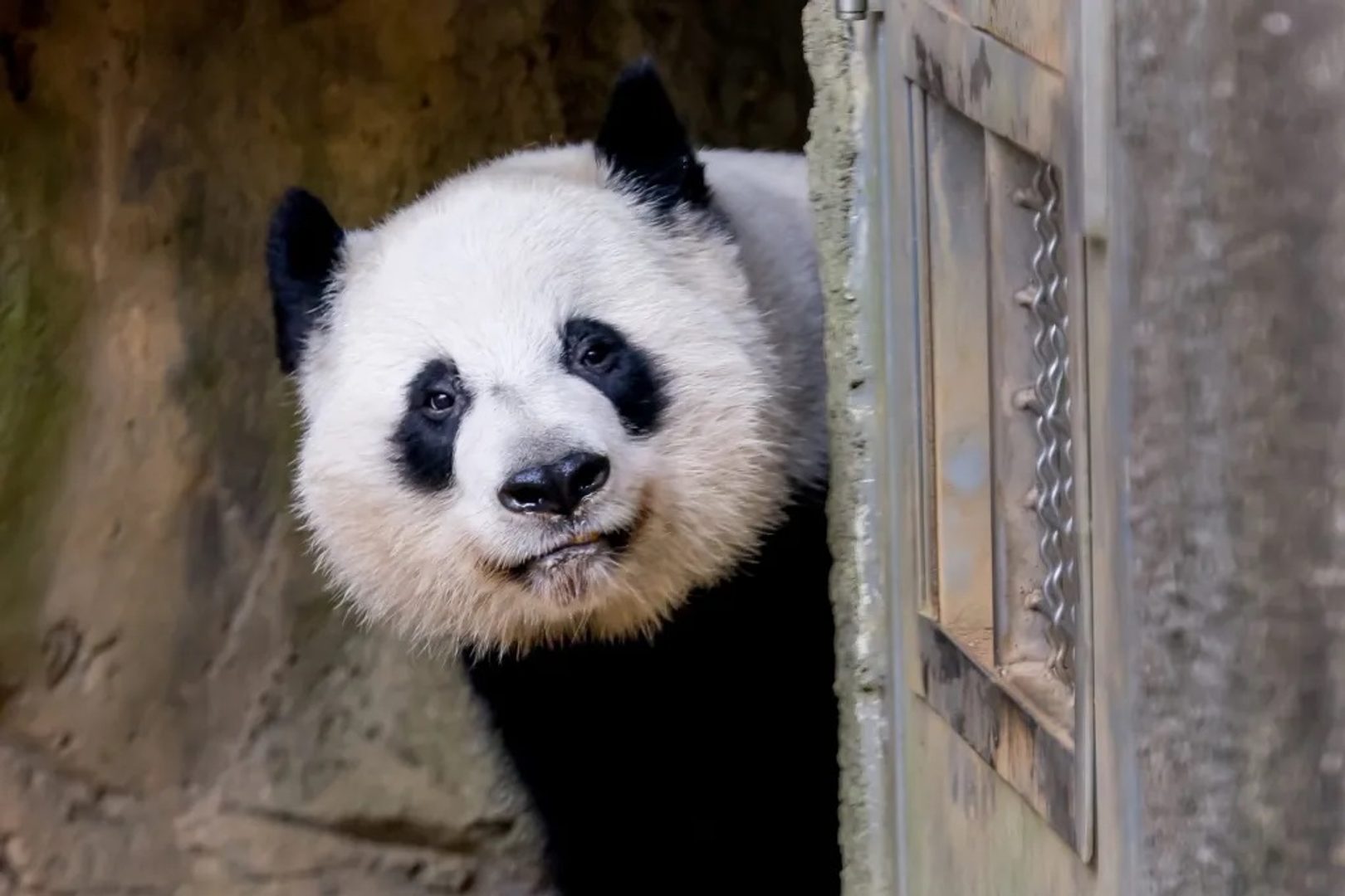 Misa por bicentenario de independencia de Perú - El Pregonero
