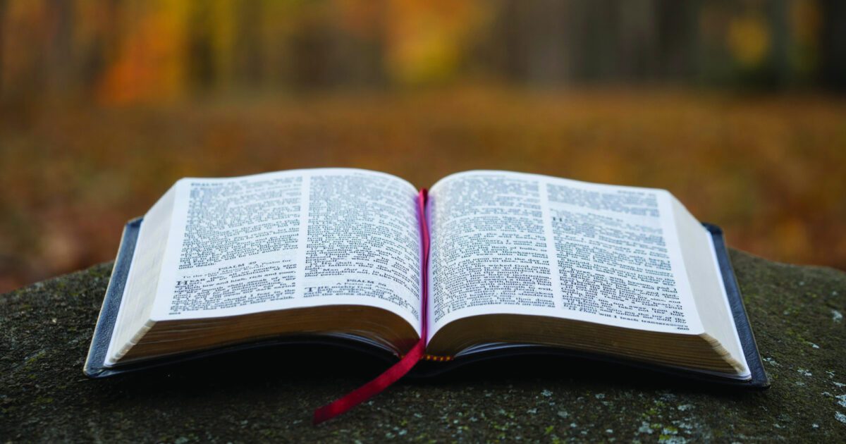 Mass readings for Nov. 2 - Catholic Standard