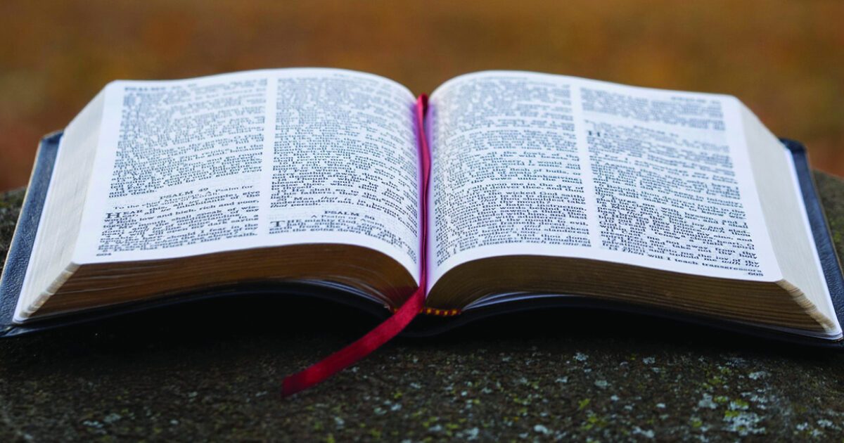 Scripture Reflection for Easter Sunday- Catholic Standard