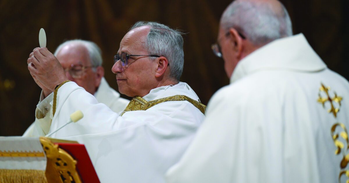 Pope Leo XIV: A biographical timeline - Catholic Standard