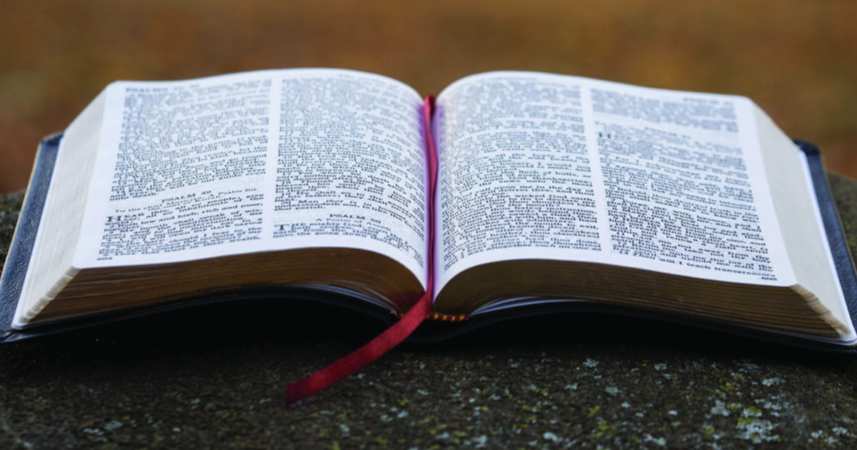 Scripture Reflection for April 7, Divine Mercy Sunday- Catholic Standard
