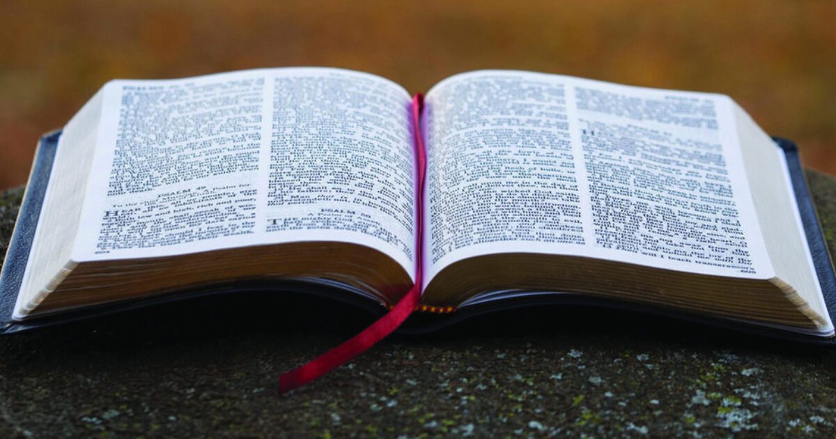 Scripture reflections for Sunday, Aug. 20 - Catholic Standard