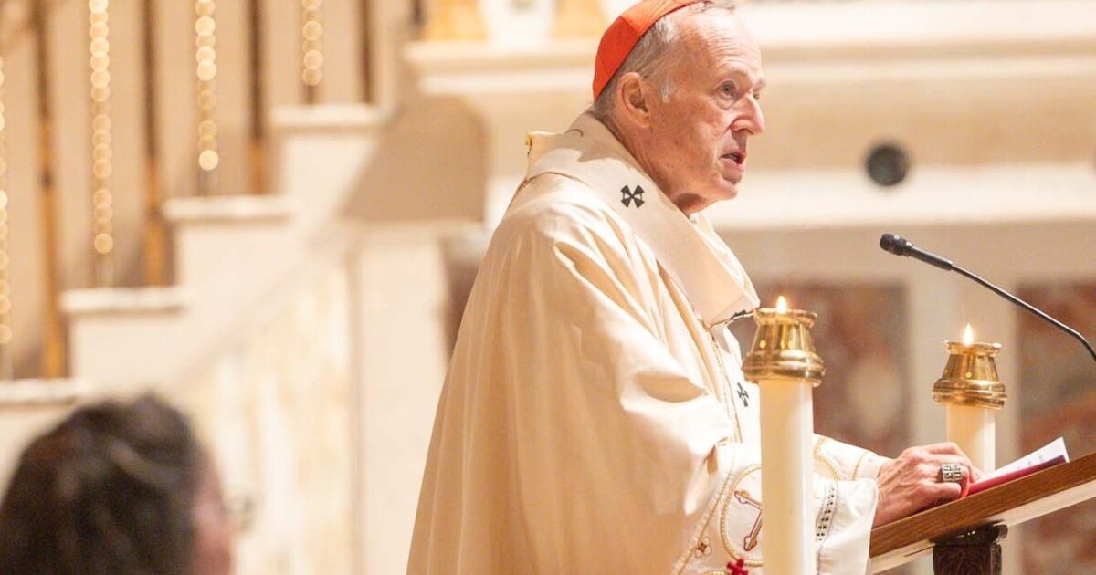 Text of Cardinal McElroy’s homily at Vigil Mass for Peace - Catholic ...